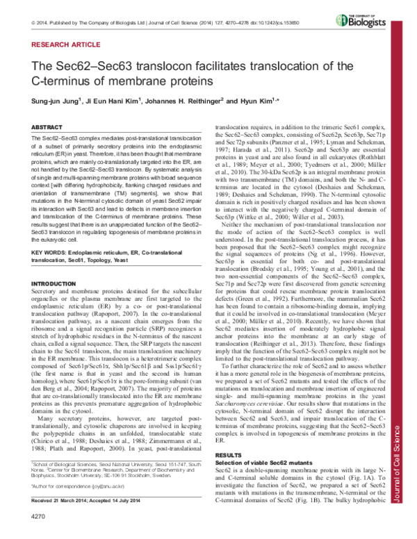 (PDF) The Sec62-Sec63 translocon facilitates translocation of the C ...