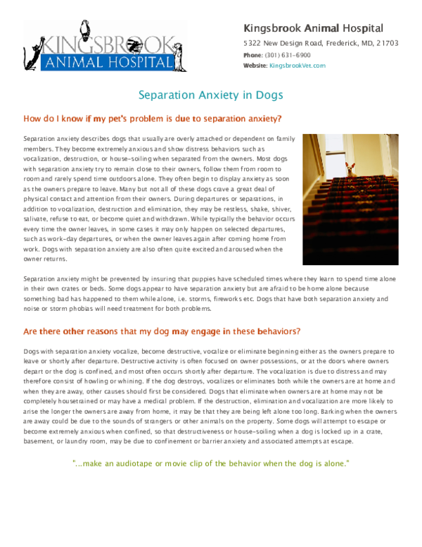 (PDF) Understanding Canine Separation Anxiety