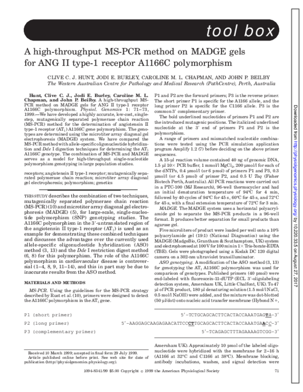 (PDF) A high-throughput MS-PCR method on MADGE gels for ANG II type-1 receptor A1166C ...