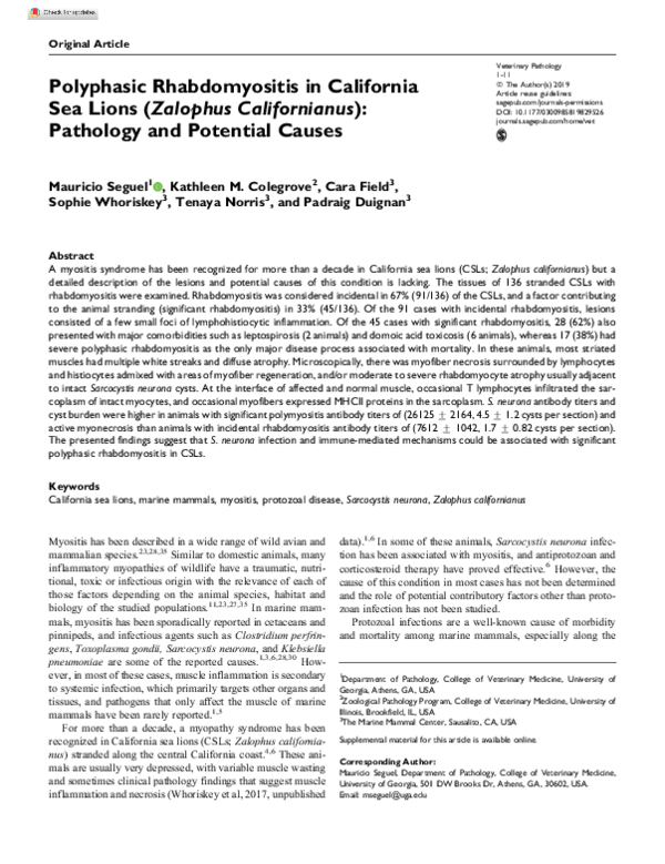 (PDF) Polyphasic Rhabdomyositis in California Sea Lions (Zalophus ...