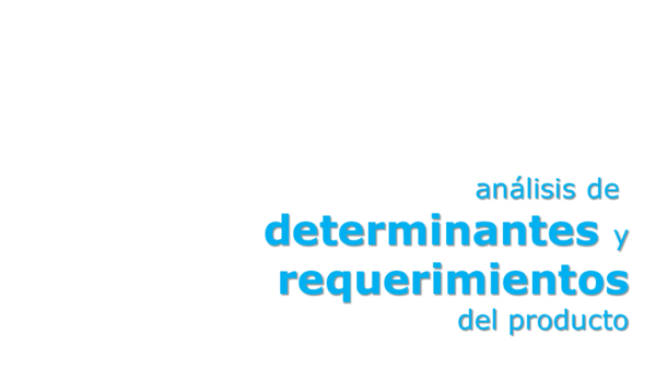 (PDF) Análisis de Determinantes y Requerimientos en el Diseño del Producto