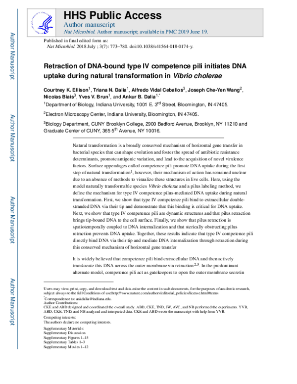 (PDF) Retraction of DNA-bound type IV competence pili initiates DNA ...