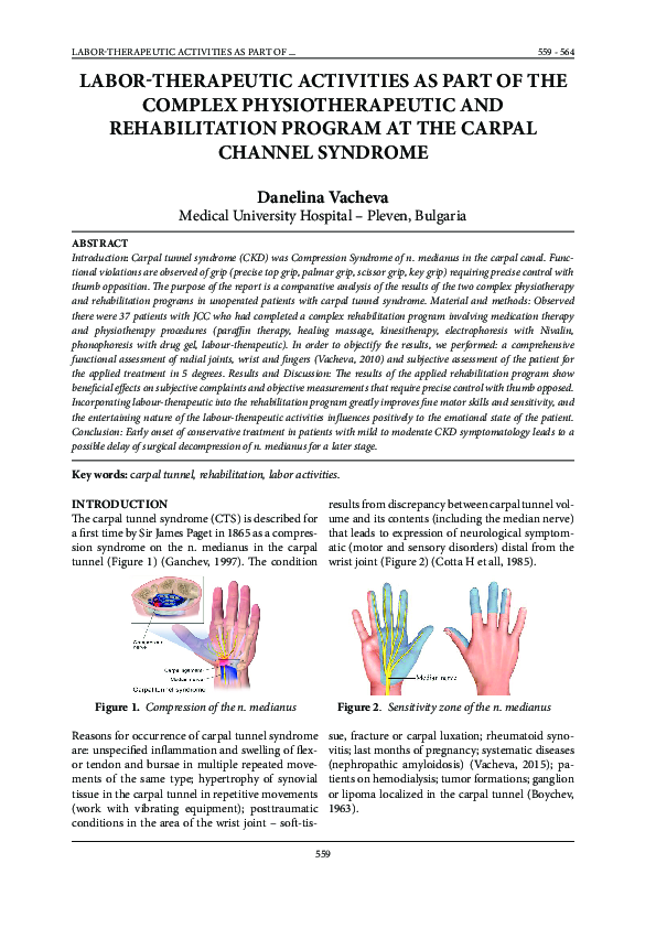 (PDF) Labor-Therapeutic Activities as Part of the Complex Physiotherapeutic and Rehabilitation ...