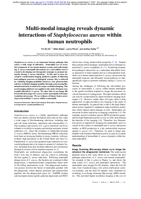 (PDF) Multi-modal imaging reveals dynamic interactions of Staphylococcus aureus within human ...