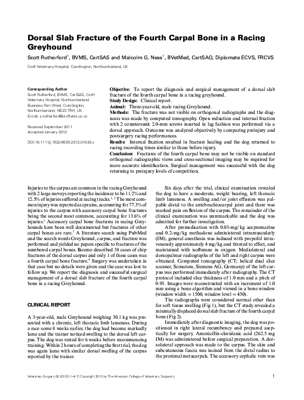(PDF) Dorsal Slab Fracture of the Fourth Carpal Bone in a Racing Greyhound