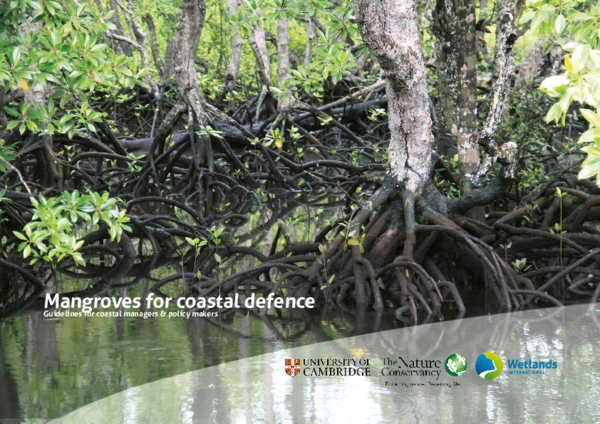 (PDF) Mangroves for coastal defence
