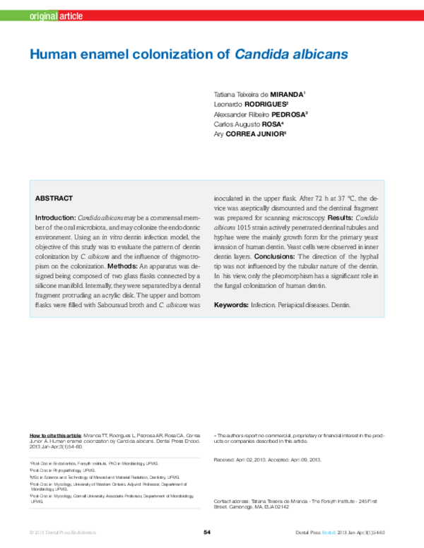 (PDF) Human enamel colonization of candida albicans