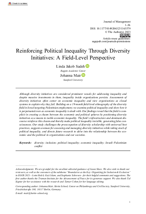 (PDF) Reinforcing Political Inequality Through Diversity Initiatives: A ...