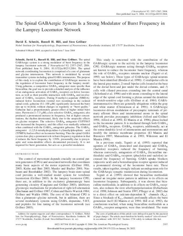 (PDF) The Spinal GABAergic System Is a Strong Modulator of Burst ...