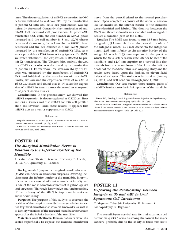 (PDF) Poster 10: The Marginal Mandibular Nerve in Relation to the ...
