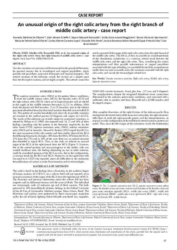 (PDF) An unusual origin of the right colic artery from the right branch ...