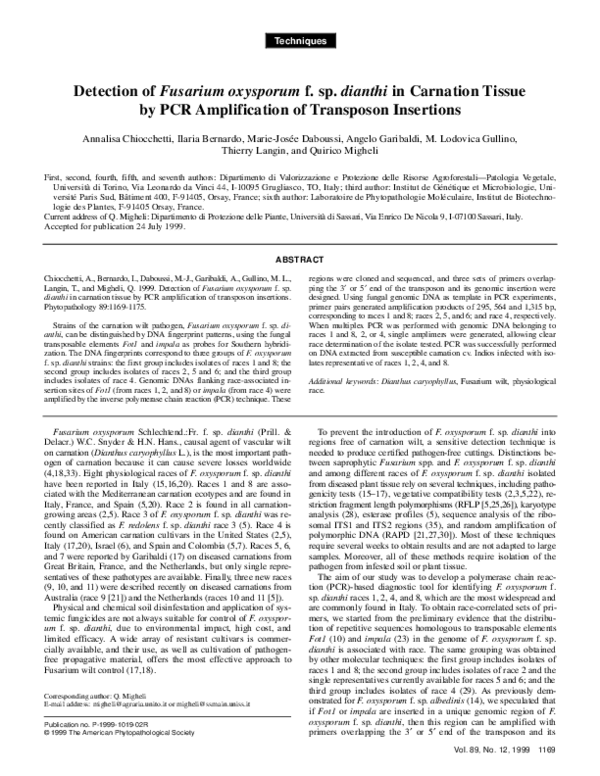 Pdf Detection Of Fusarium Oxysporum F Sp Dianthi In Carnation Tissue By Pcr Amplification Of