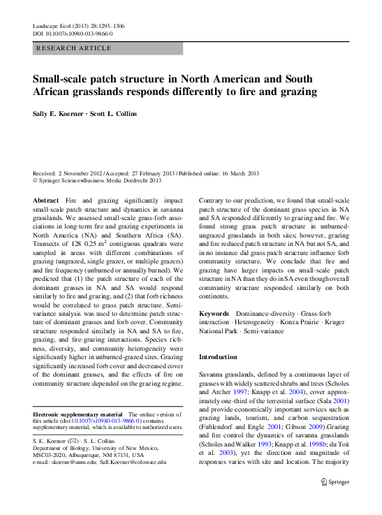 (PDF) Small-scale patch structure in North American and South African ...