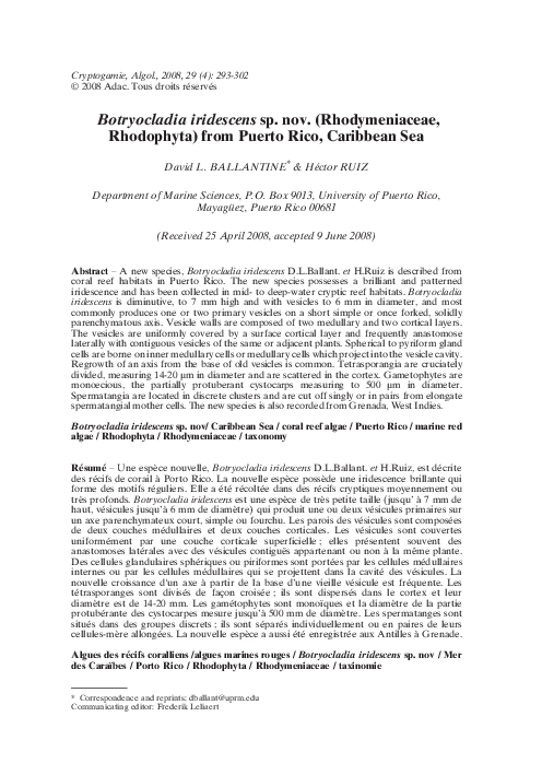 (PDF) Botryocladia iridescens sp. nov. (Rhodymeniaceae, Rhodophyta ...