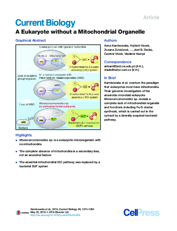 (PDF) A Eukaryote without a Mitochondrial Organelle