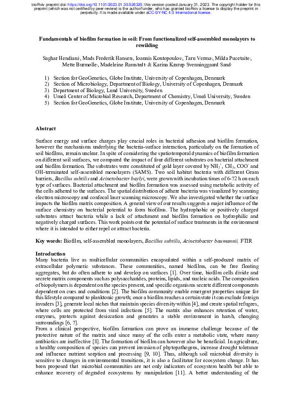 (PDF) Fundamentals of biofilm formation in soil: From functionalized ...