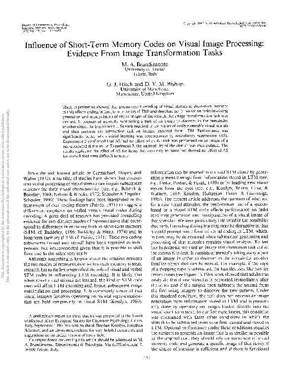 (PDF) Influence of short-term memory codes on visual image processing ...