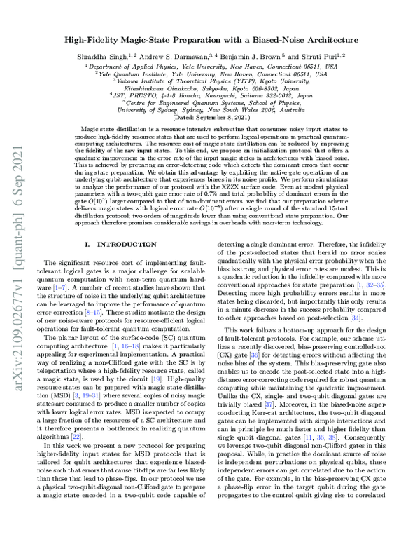 (PDF) High-fidelity magic-state preparation with a biased-noise ...