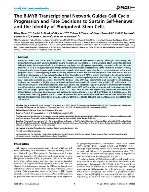 (PDF) The B-MYB Transcriptional Network Guides Cell Cycle Progression ...