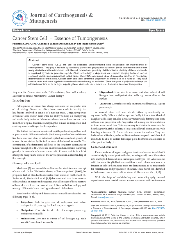 (PDF) Role of Cancer Stem Cells in Tumorigenesis