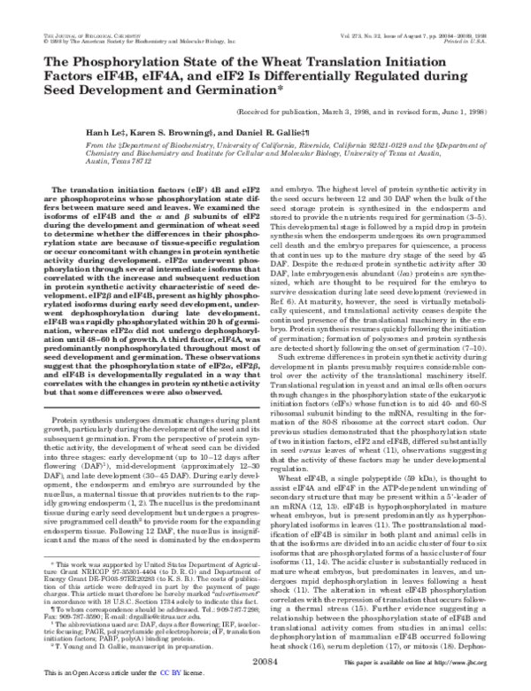 (PDF) The Phosphorylation State of the Wheat Translation Initiation ...