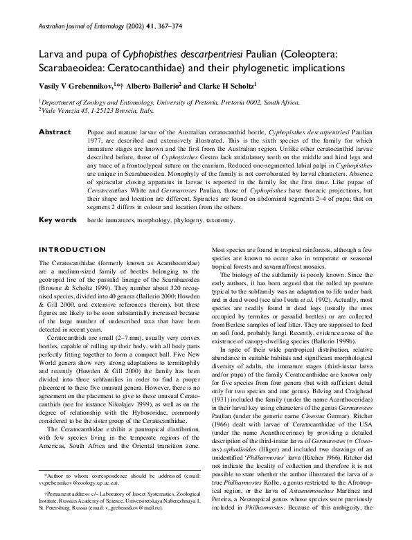 (PDF) Larva and pupa of Cyphopisthes descarpentriesi Paulian ...