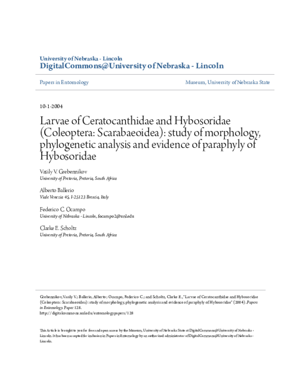 (PDF) Larvae of Ceratocanthidae and Hybosoridae (Coleoptera ...
