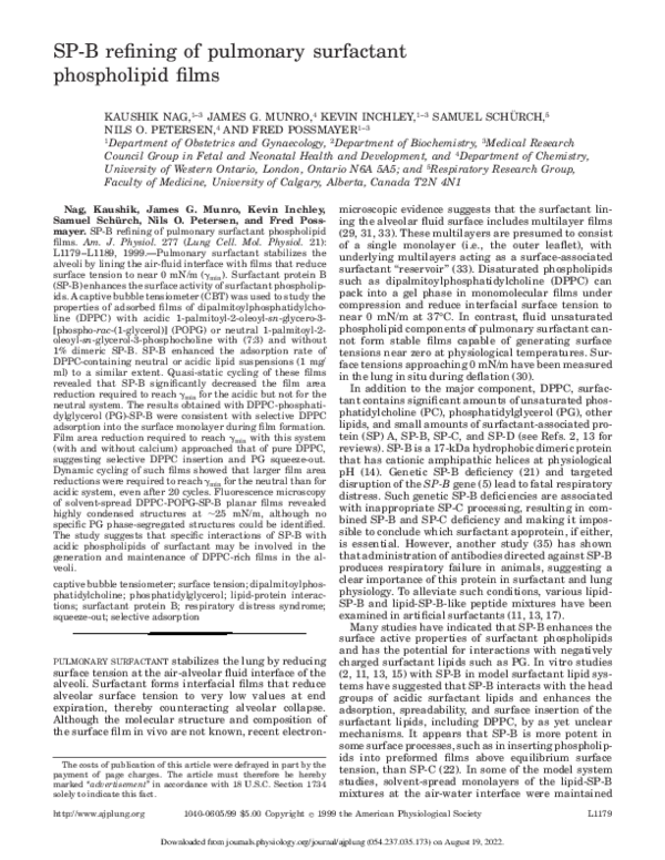 (PDF) SP-B refining of pulmonary surfactant phospholipid films
