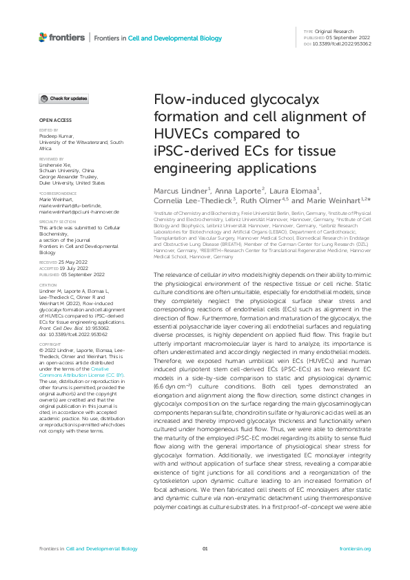 (PDF) Flow-induced glycocalyx formation and cell alignment of HUVECs ...
