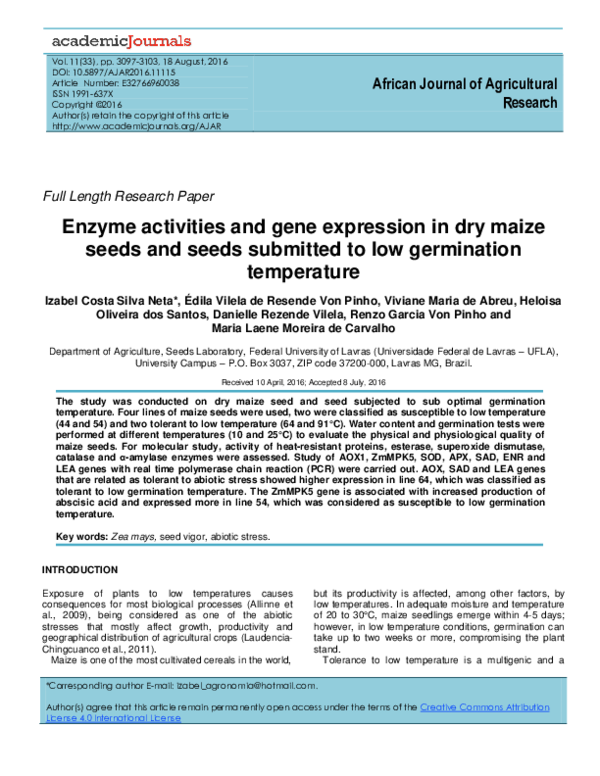 (PDF) Enzyme activities and gene expression in dry maize seeds and ...