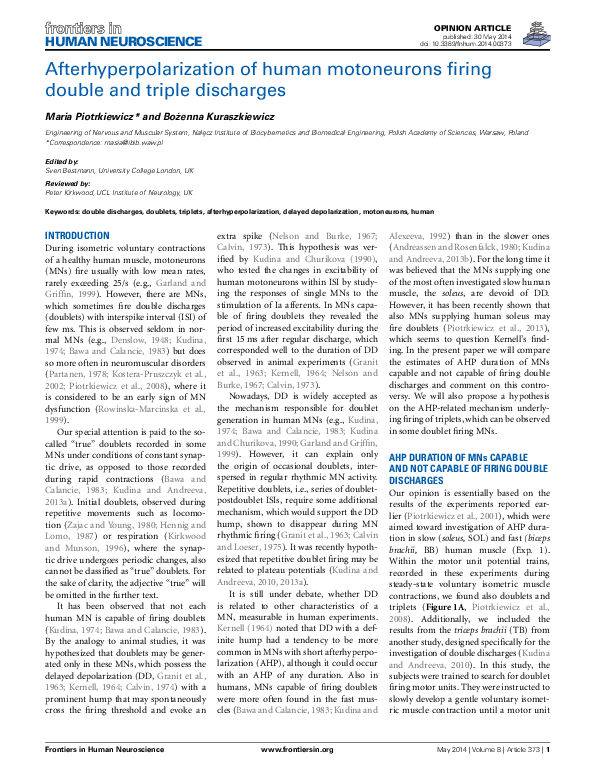 (PDF) Afterhyperpolarization of human motoneurons firing double and ...