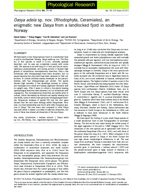 (PDF) Dasya adela sp. nov. ( R hodophyta, C eramiales), an enigmatic ...