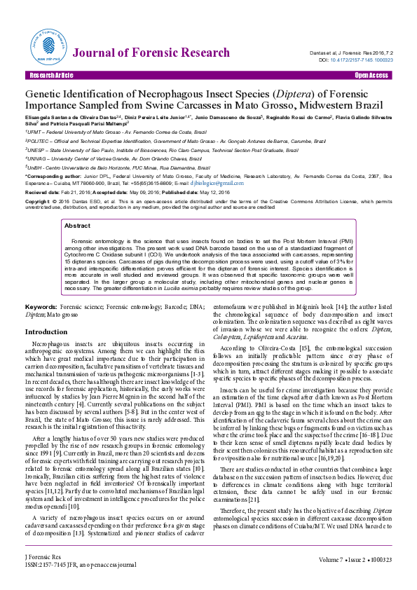 (PDF) Genetic Identification of Necrophagous Insect Species (Diptera ...