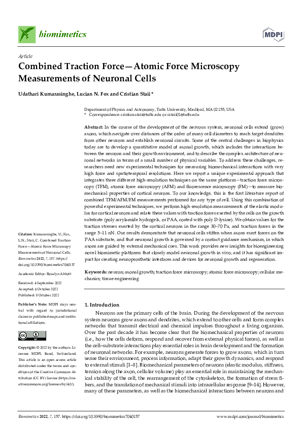 (PDF) Combined Traction Force–Atomic Force Microscopy Measurements of ...