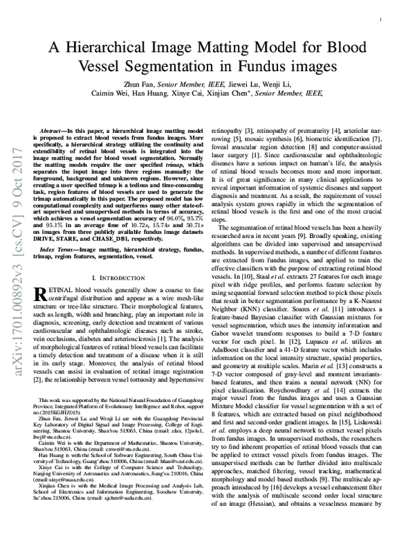 (PDF) A Hierarchical Image Matting Model for Blood Vessel Segmentation in Fundus Images