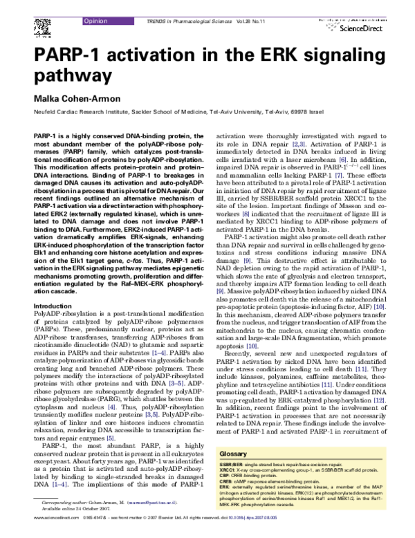 (PDF) ERK2 Activates PARP-1 to Enhance Signaling (PDF) ERK2 Activates PARP-1 to Enhance Signaling