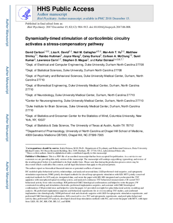 (PDF) Dynamically Timed Stimulation of Corticolimbic Circuitry ...