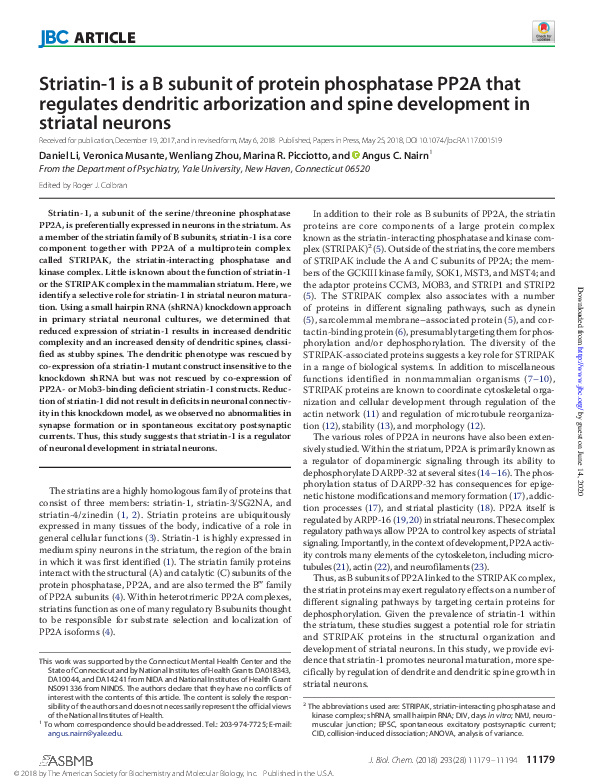 (PDF) Striatin-1 is a B subunit of protein phosphatase PP2A that ...