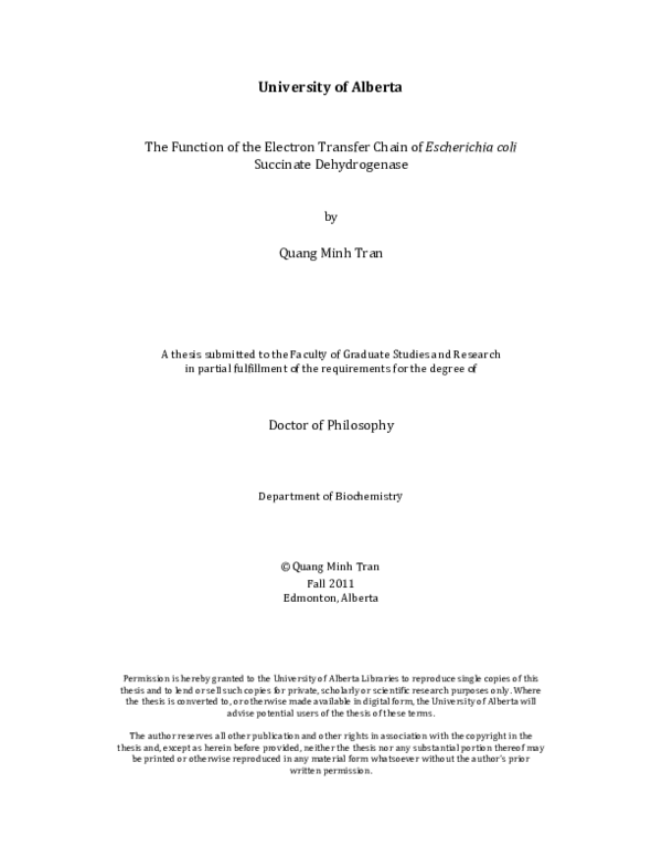 (PDF) The function of the electron transfer chain in Escherichia coli ...