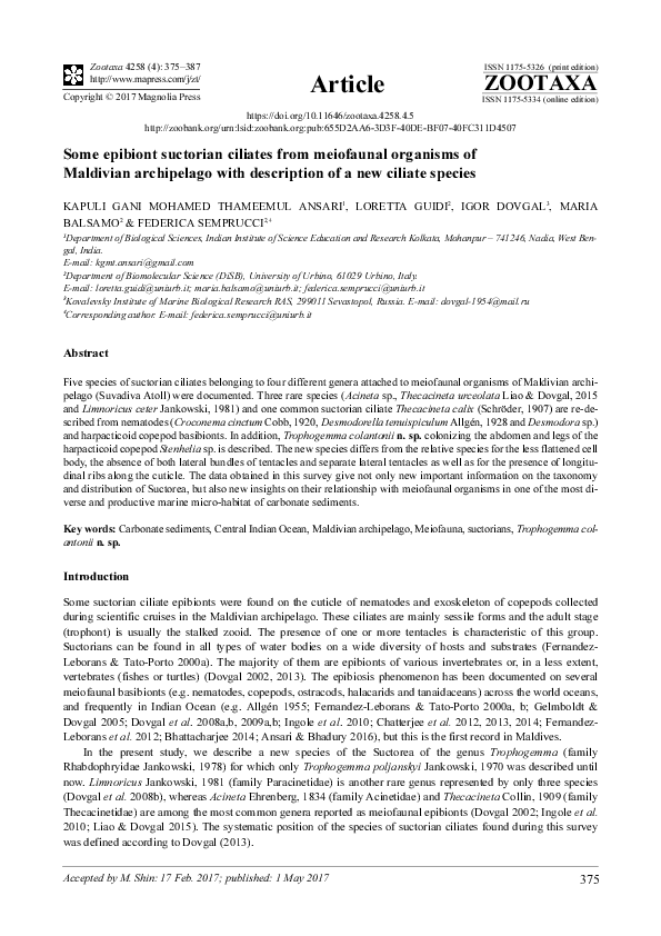 (PDF) Some epibiont suctorian ciliates from meiofaunal organisms of ...