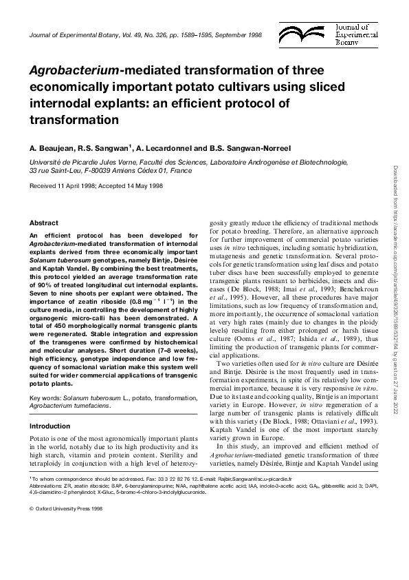 (PDF) Agrobacterium-mediated transformation of three economically ...