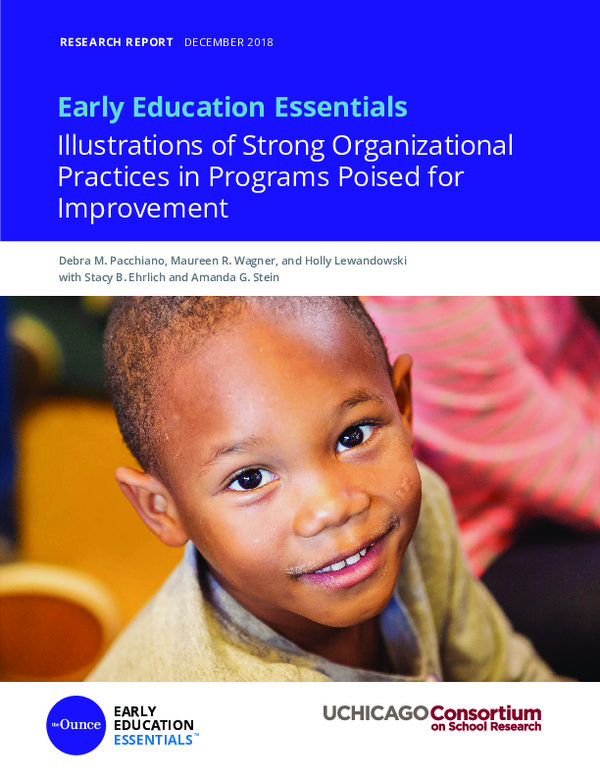 (PDF) Early Education Essentials: Illustrations of Strong ...