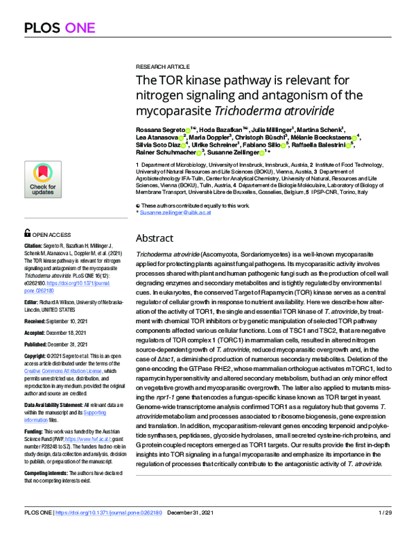 (PDF) The TOR kinase pathway is relevant for nitrogen signaling and ...