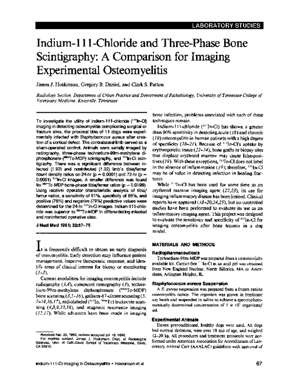 (PDF) Indium-111-chloride and three-phase bone scintigraphy: a ...