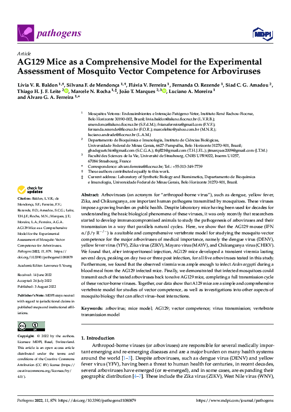 (PDF) AG129 Mice as a Comprehensive Model for the Experimental ...
