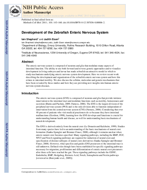 (PDF) Development of the zebrafish enteric nervous system