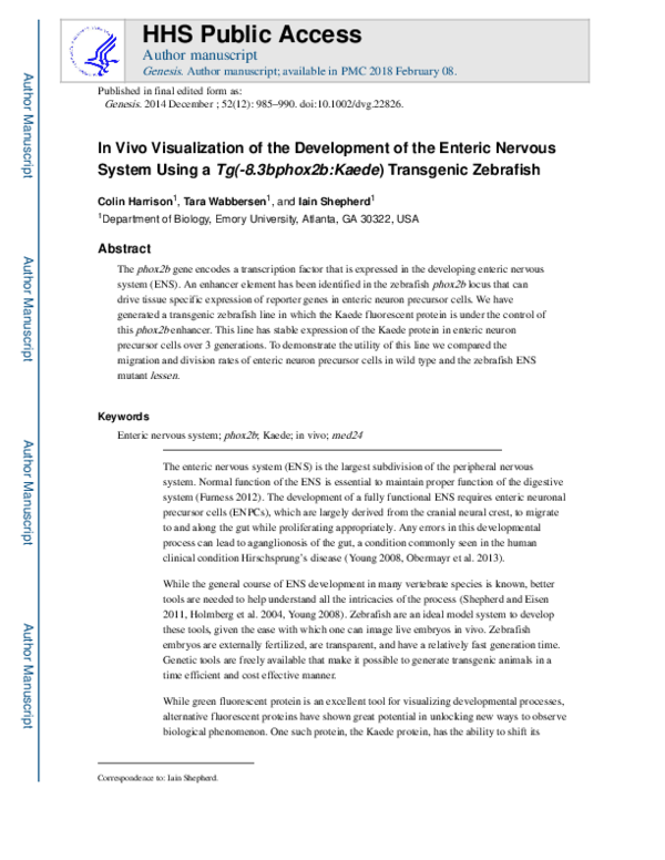 (PDF) In vivo visualization of the development of the enteric nervous ...