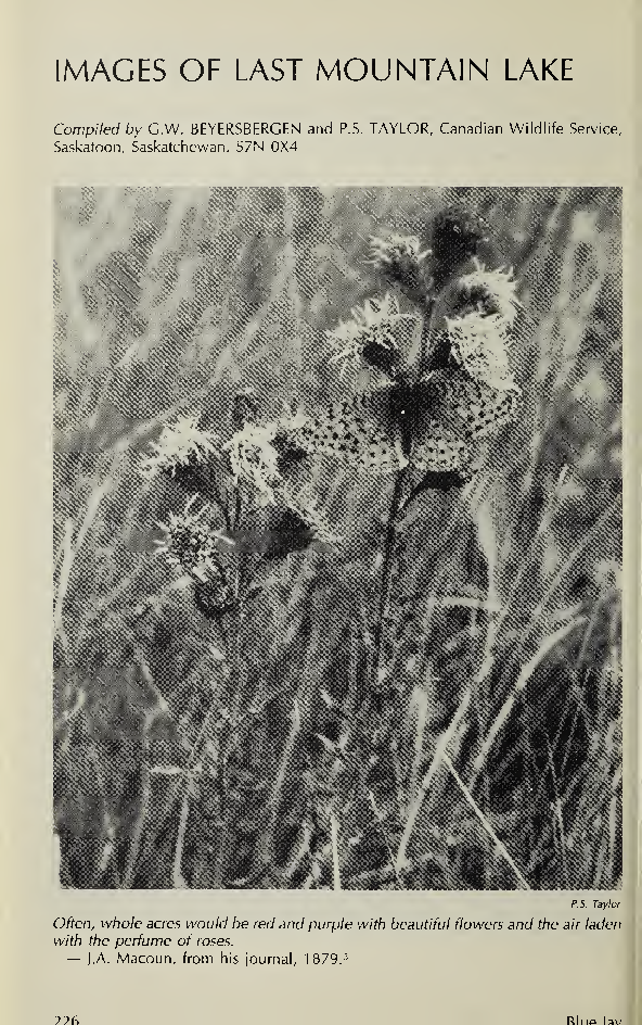 (PDF) Images of Last Mountain Lake