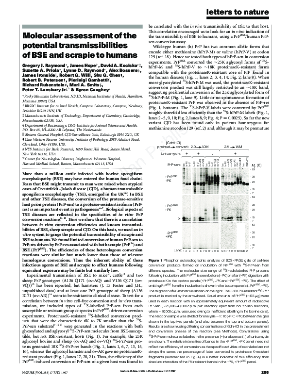 (PDF) Molecular assessment of the potential transmissibilities of BSE ...