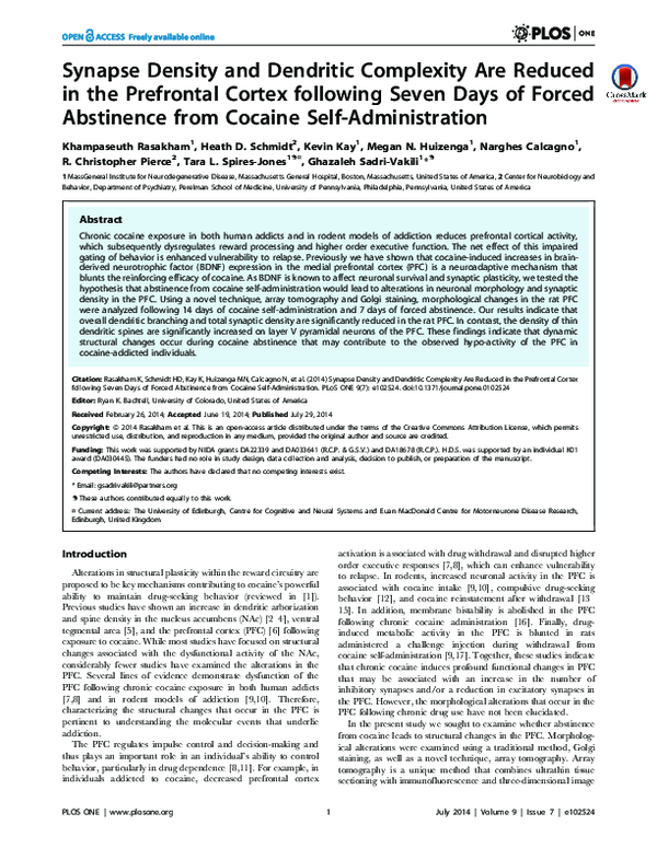 (PDF) Synapse Density and Dendritic Complexity Are Reduced in the ...